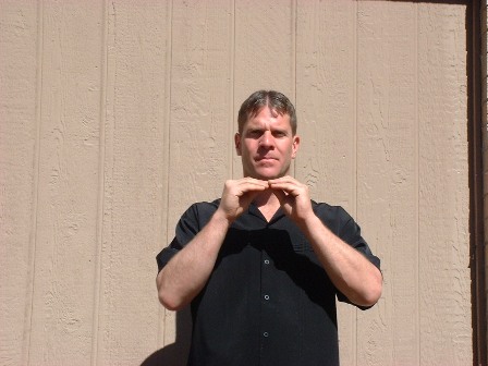 Baby Sign Language - American Sign for the word More